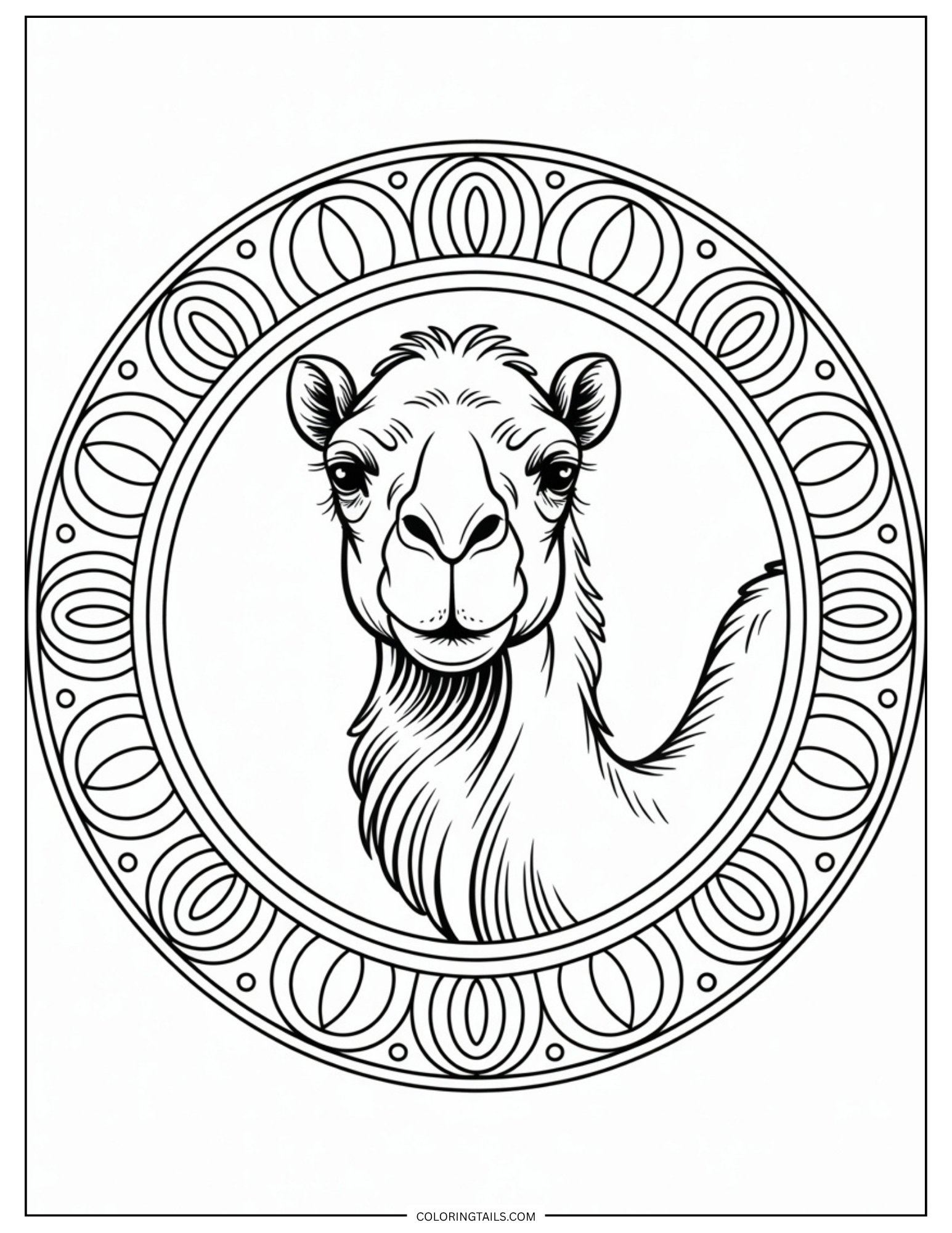24 Camel Coloring Page (Free PDF Printable) For All Ages 2025 ...