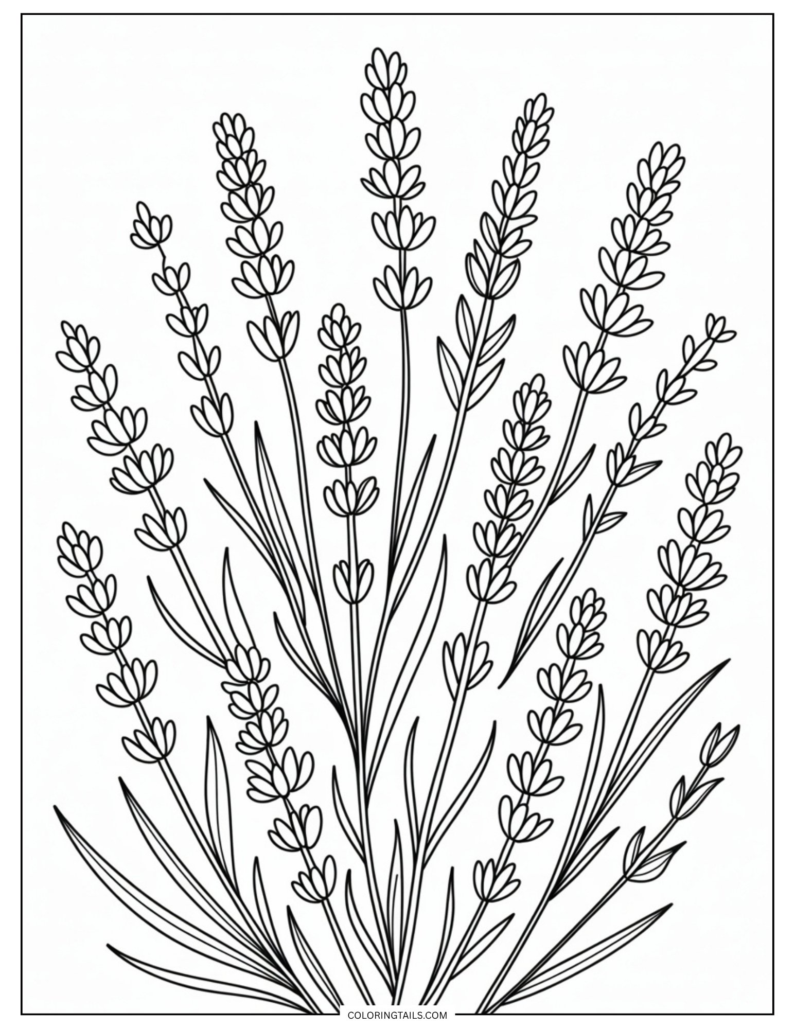 Flower Coloring Pages (60 Free PDF) Printables – Coloring Tails