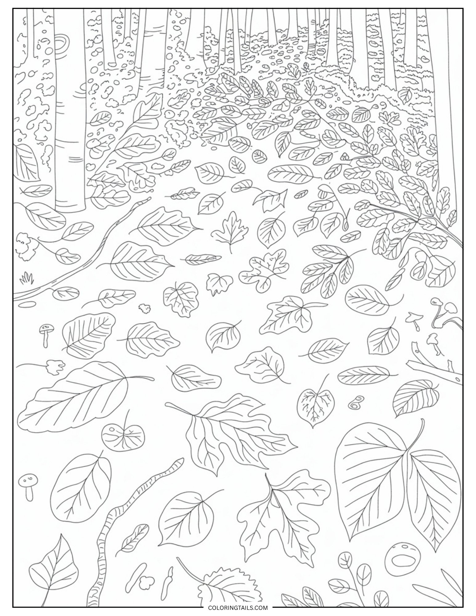 Leaf Coloring Pages (55 Free PDF) Printables – Coloring Tails