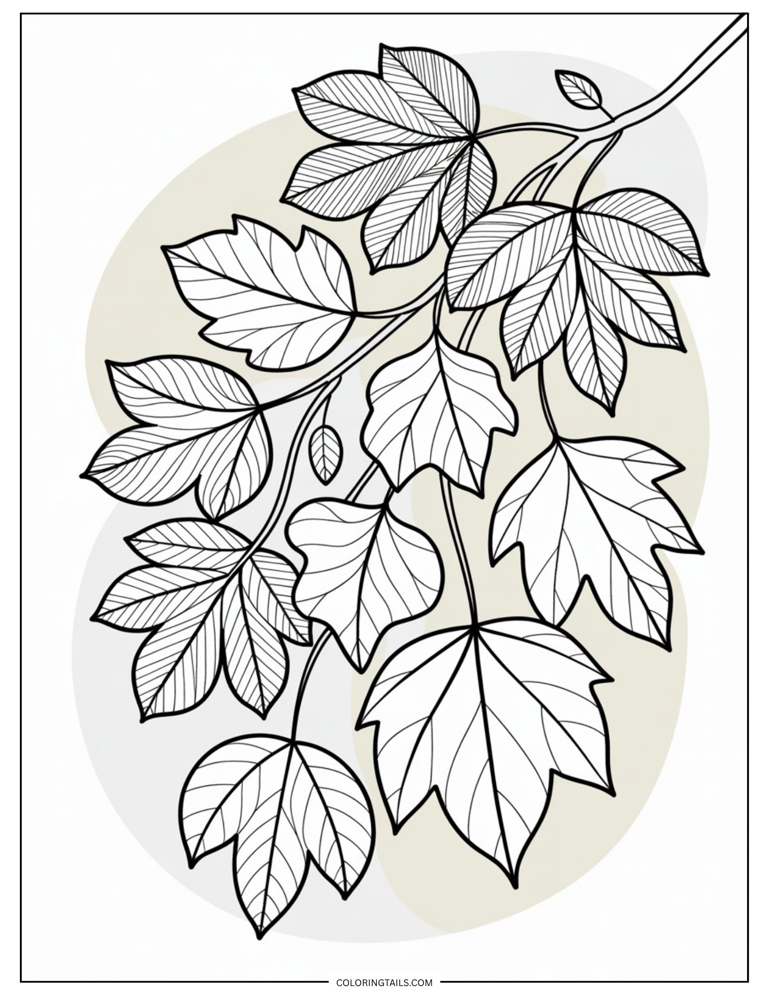 Leaf Coloring Pages (55 Free PDF) Printables – Coloring Tails