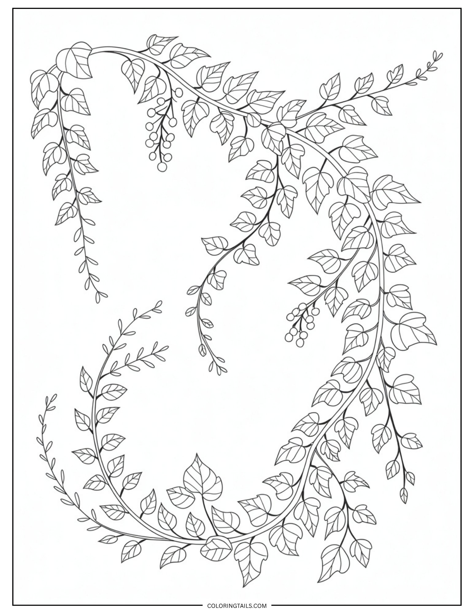 Leaf Coloring Pages (55 Free PDF) Printables – Coloring Tails